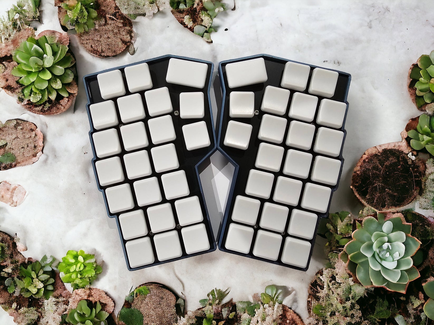Corne v4: Kailh Choc - Split Ergonomic Keyboard with RGB LED Backlight – AstroErgo
